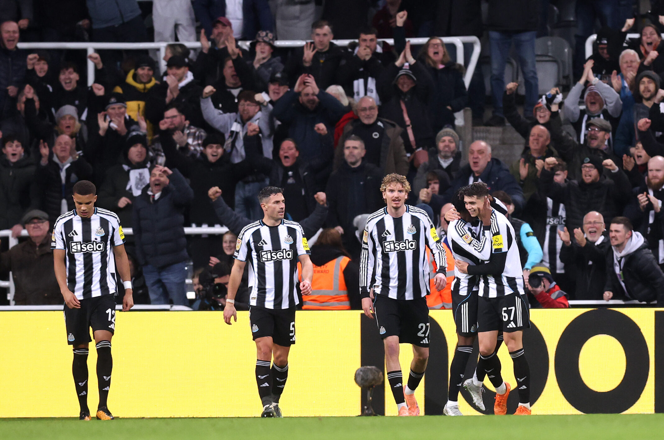 Newcastle United player ratings vs Fulham